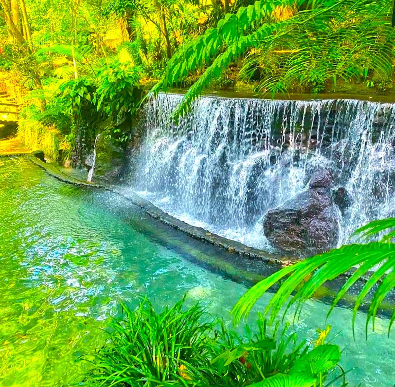 Discover the Tranquility of Bato Spring: An Idyllic Escape in San Pablo ...